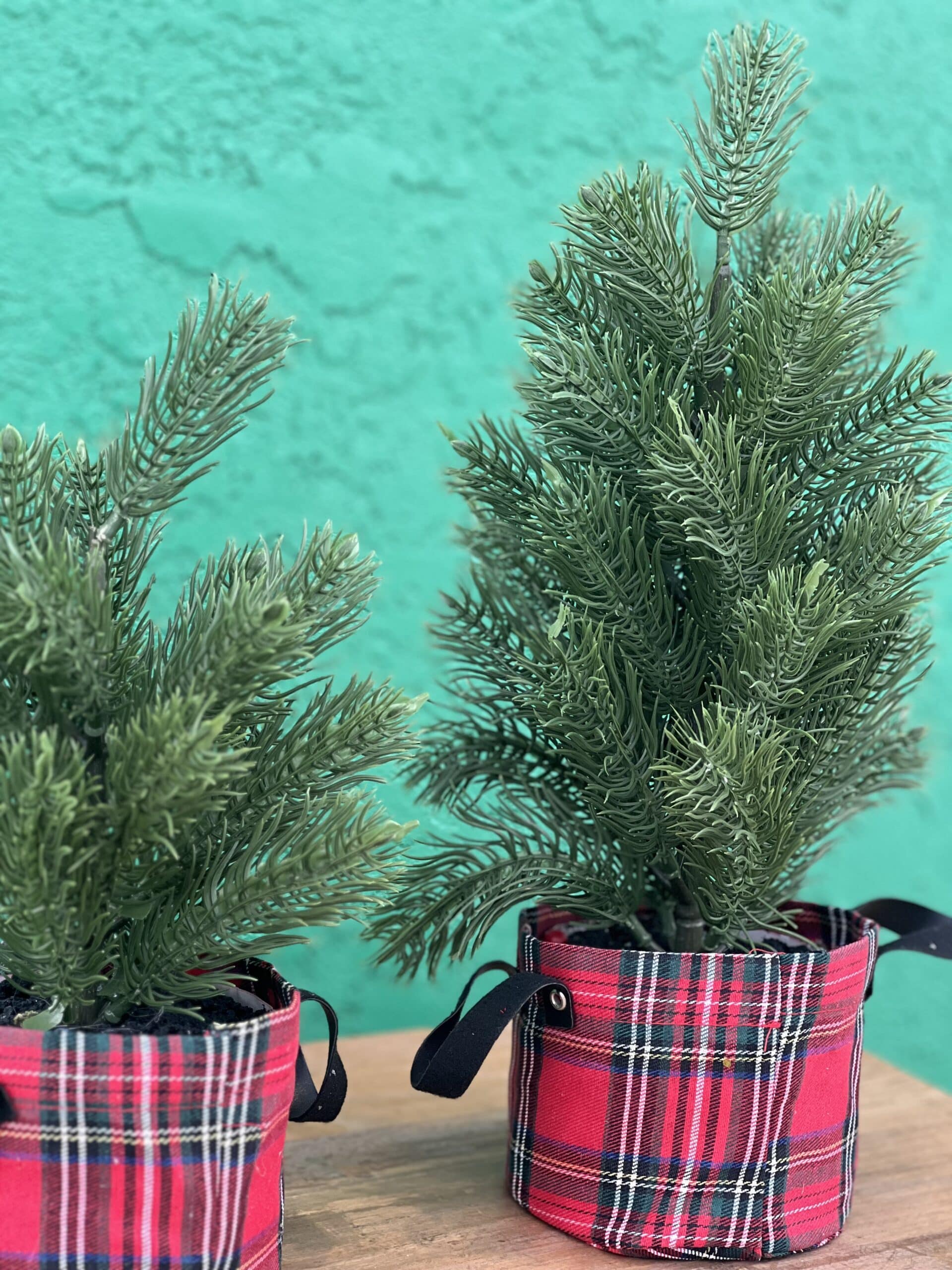 Artificial Pine Tabletop Trees in Red Plaid Covered Pot – Tin Lizzies